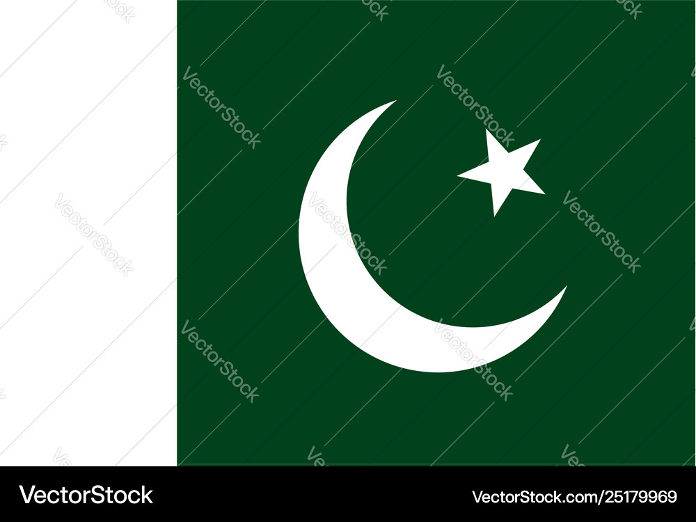 Flag rectangular shape Royalty Free Vector Image
