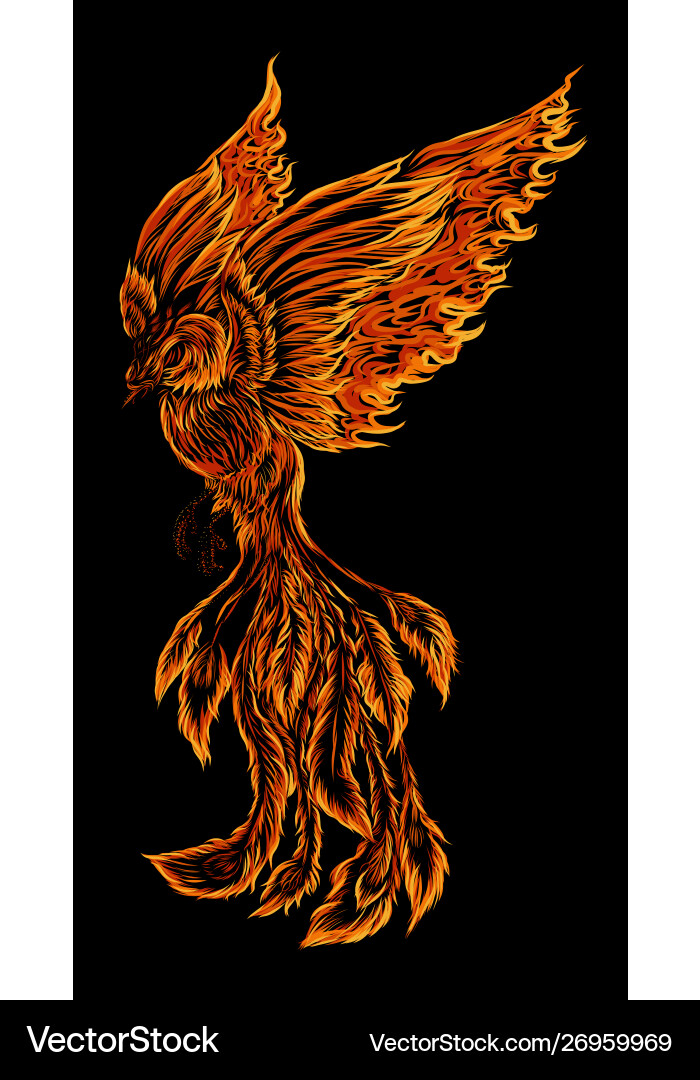 Phoenix Royalty Free Vector Image - VectorStock