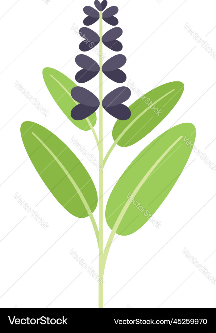 Sage stick icon flat herb plant Royalty Free Vector Image