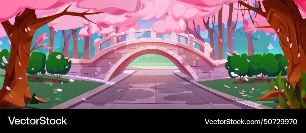 Spring park with sakura trees and arch bridge Vector Image