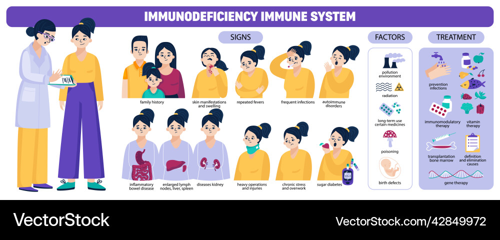 Immune system infographic Royalty Free Vector Image