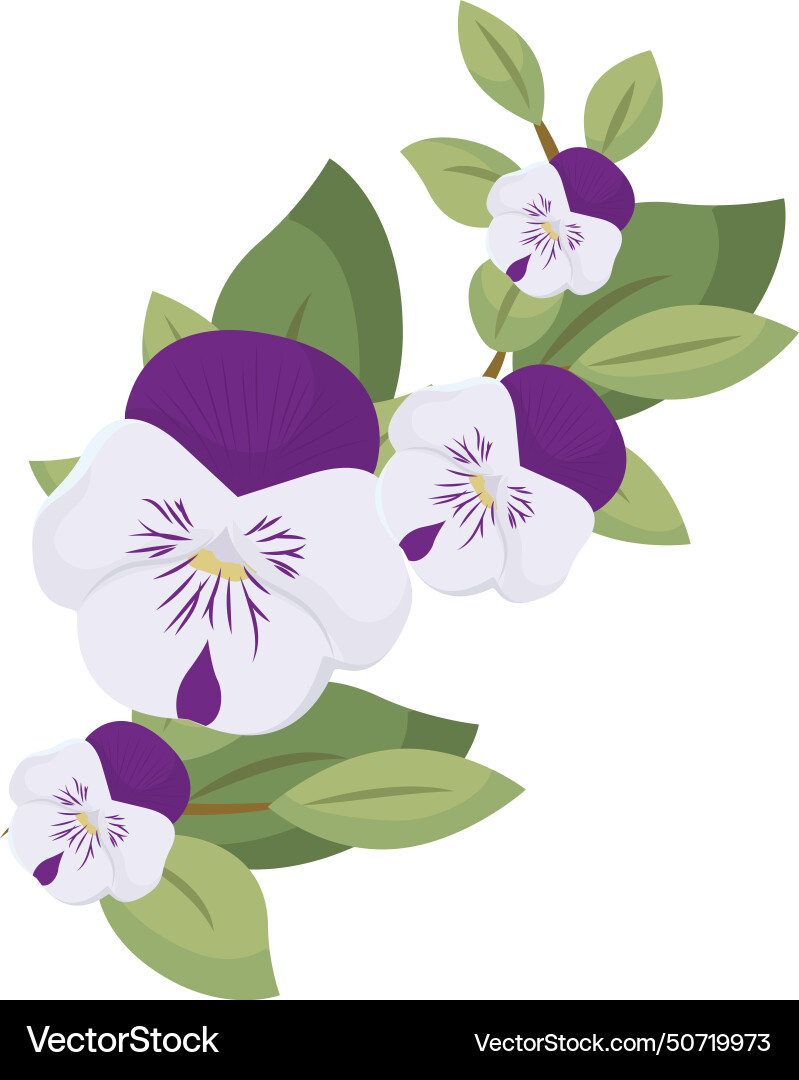 Colored flowers spring season Royalty Free Vector Image