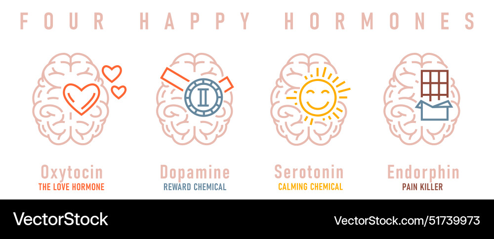 Four happy hormones dopamine endorphin Royalty Free Vector