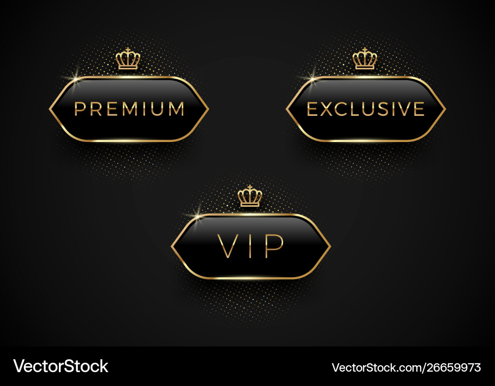 Vip premium and exclusive black glass labels Vector Image