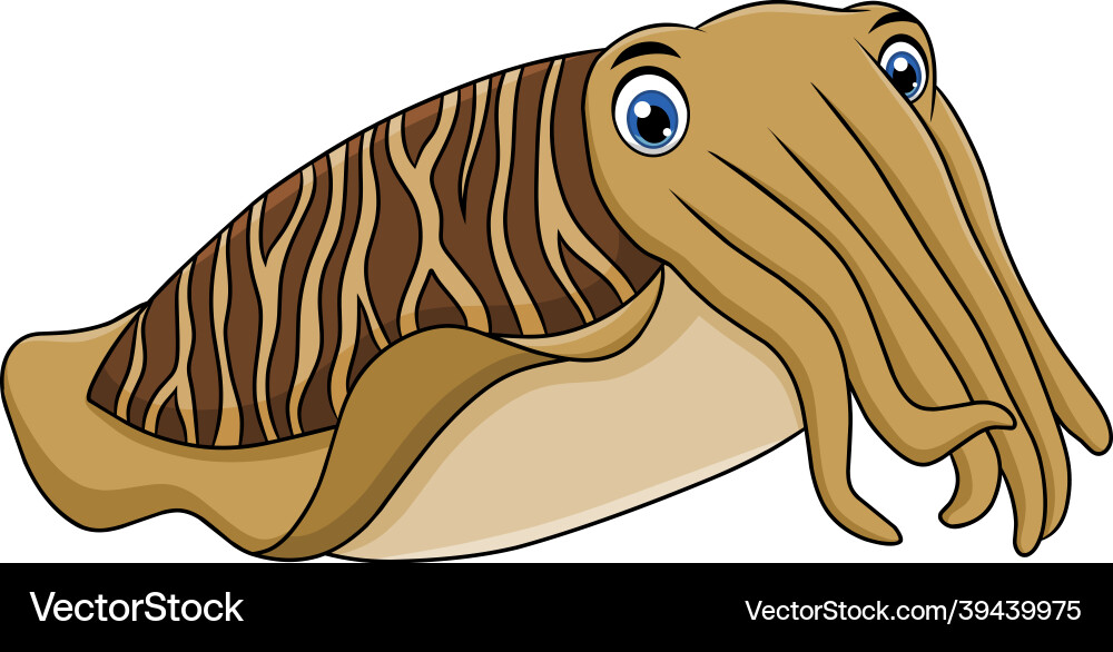 Cute cuttlefish cartoon Royalty Free Vector Image