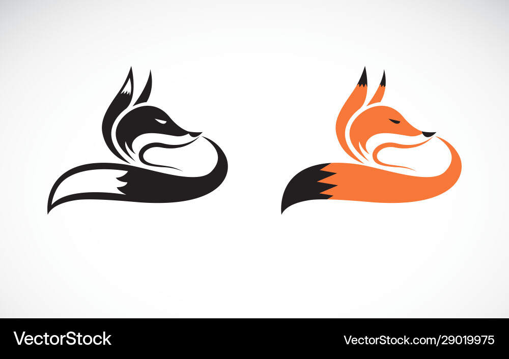 Fox design on white background wild animals easy Vector Image