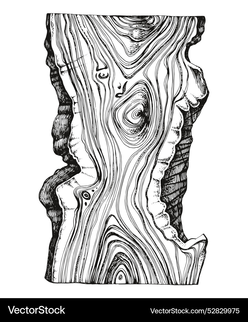 Hand drawn wood piece Royalty Free Vector Image