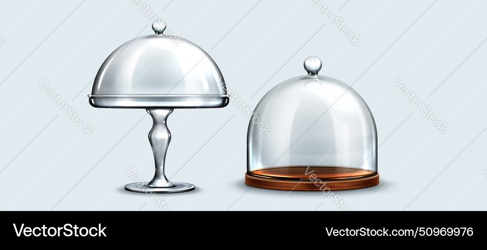 3d realistic glass dome stand for cake with plate Vector Image