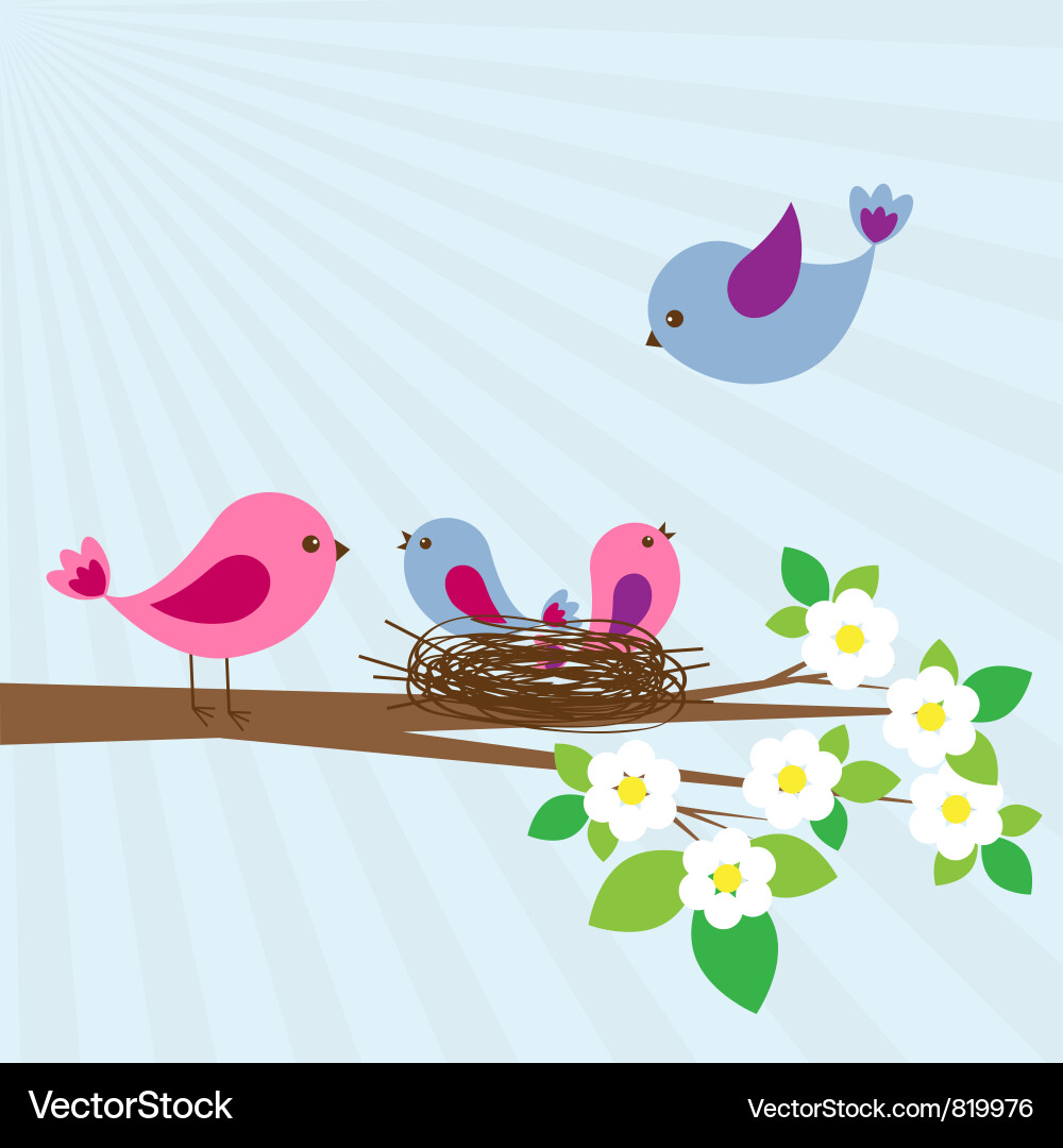 Family of birds Royalty Free Vector Image - VectorStock