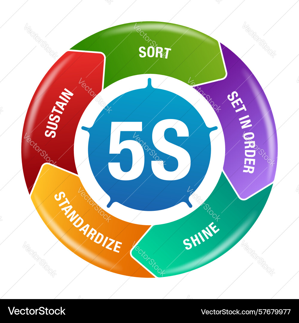5s workplace organization circular diagram Vector Image