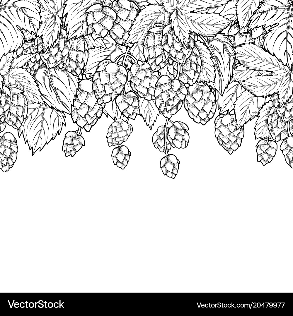 Hop Border - Engraving Style Royalty Free Vector Image
