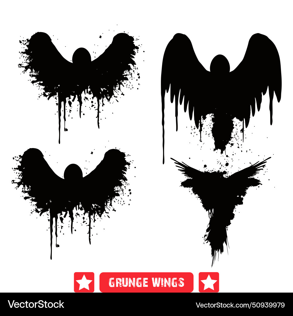 Mystical grunge wings design pack enigmatic Vector Image