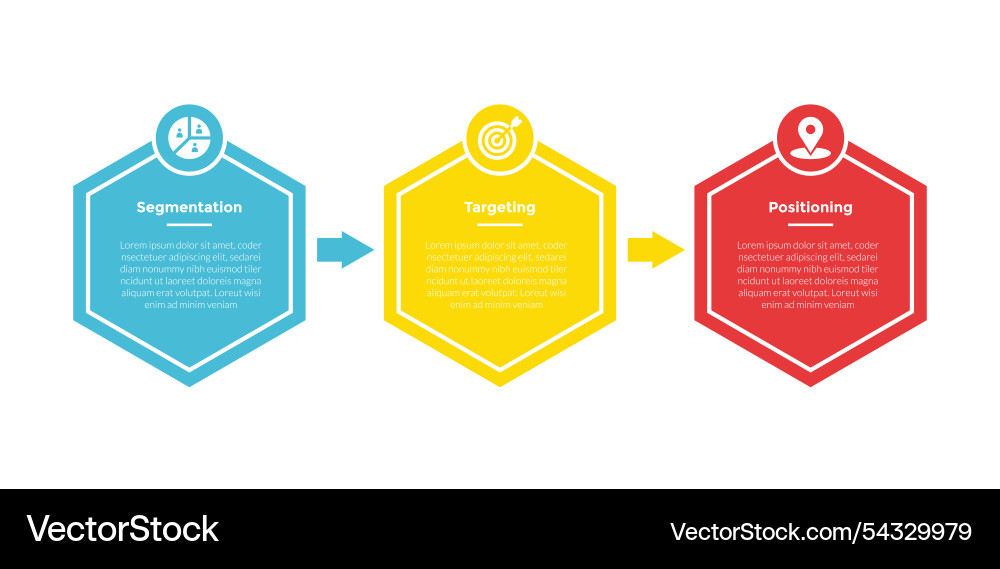 Stp marketing analysis infographics template Vector Image