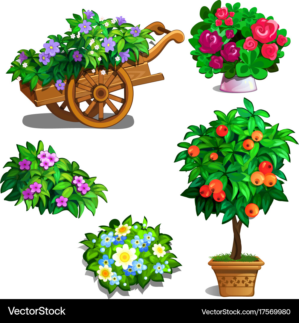 Floral Cart with Orange Tree and Roses Royalty Free Vector