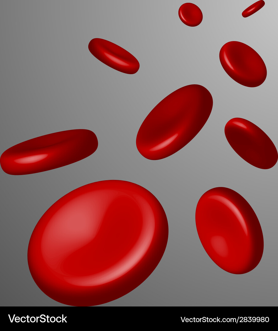 Red blood cells - erythrocytes Royalty Free Vector Image