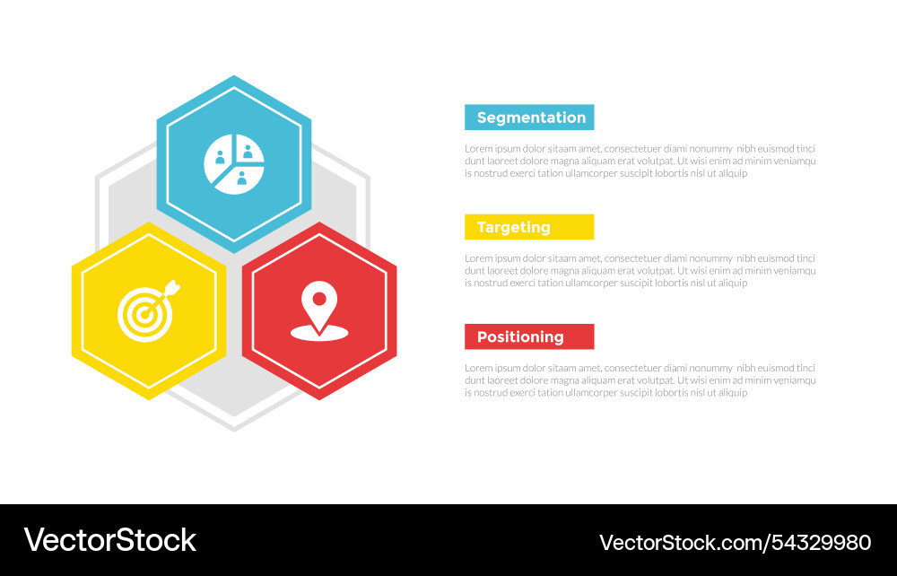 Stp marketing analysis infographics template Vector Image