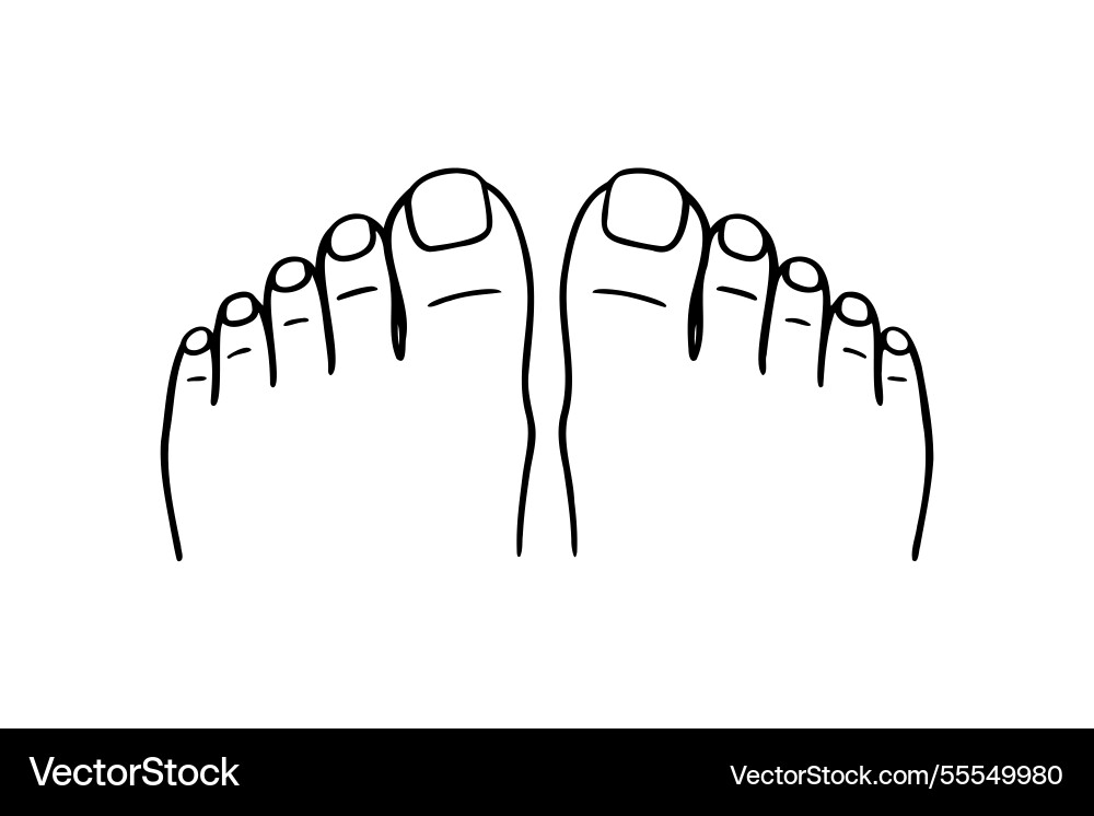 Clipart Toes
