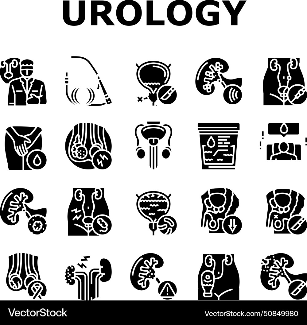 Urology prostate urinary kidney icons set Vector Image