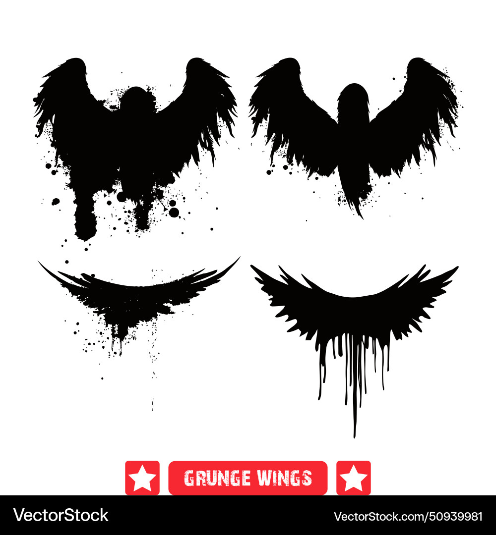 Abstract grunge wings expressive elements Vector Image