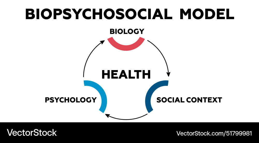 Biopsychosocial model psychology of biology Vector Image