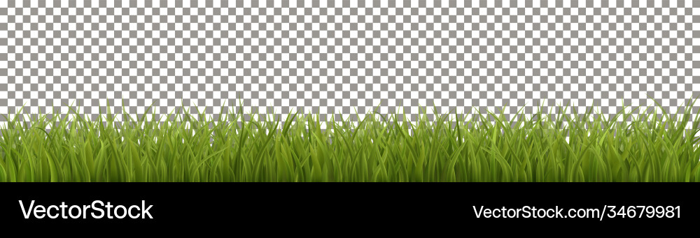 Isolated green grass Royalty Free Vector Image