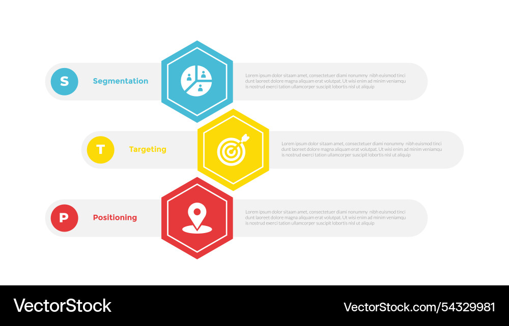 Stp marketing analysis infographics template Vector Image