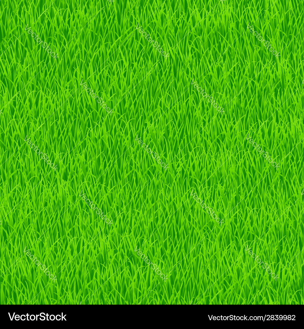 Grass pattern Royalty Free Vector Image - VectorStock