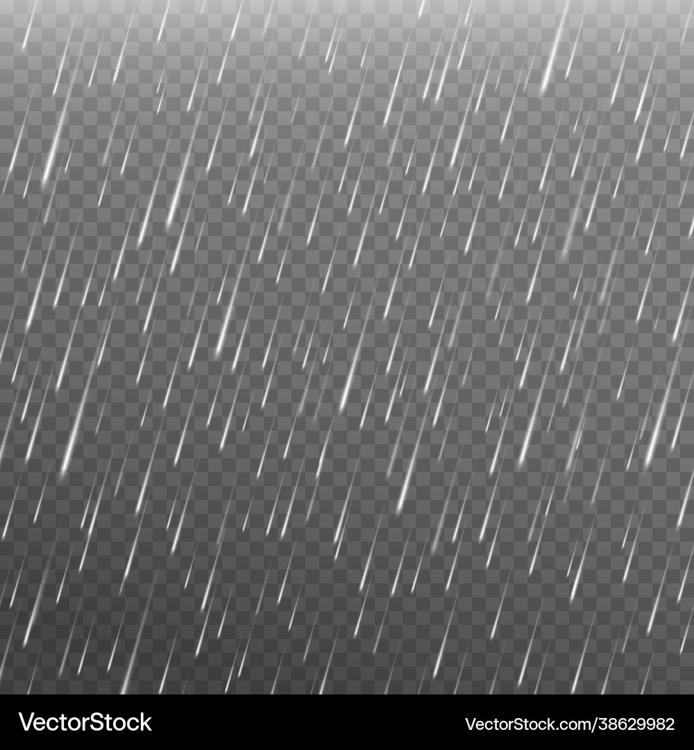 Rain effect realistic water drops falling from Vector Image