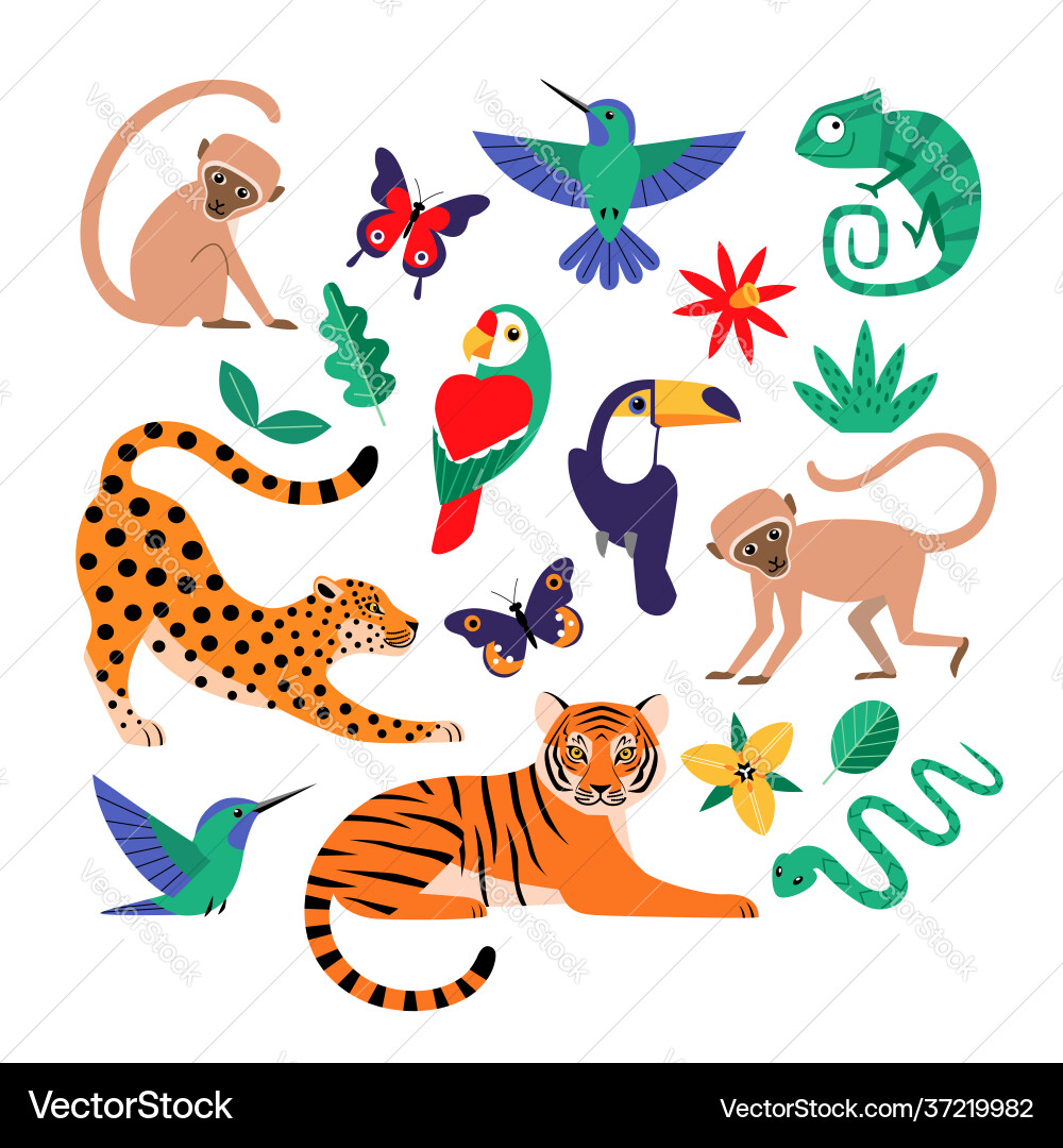 Tropical Birds and Jungle Animals Royalty Free Vector Image