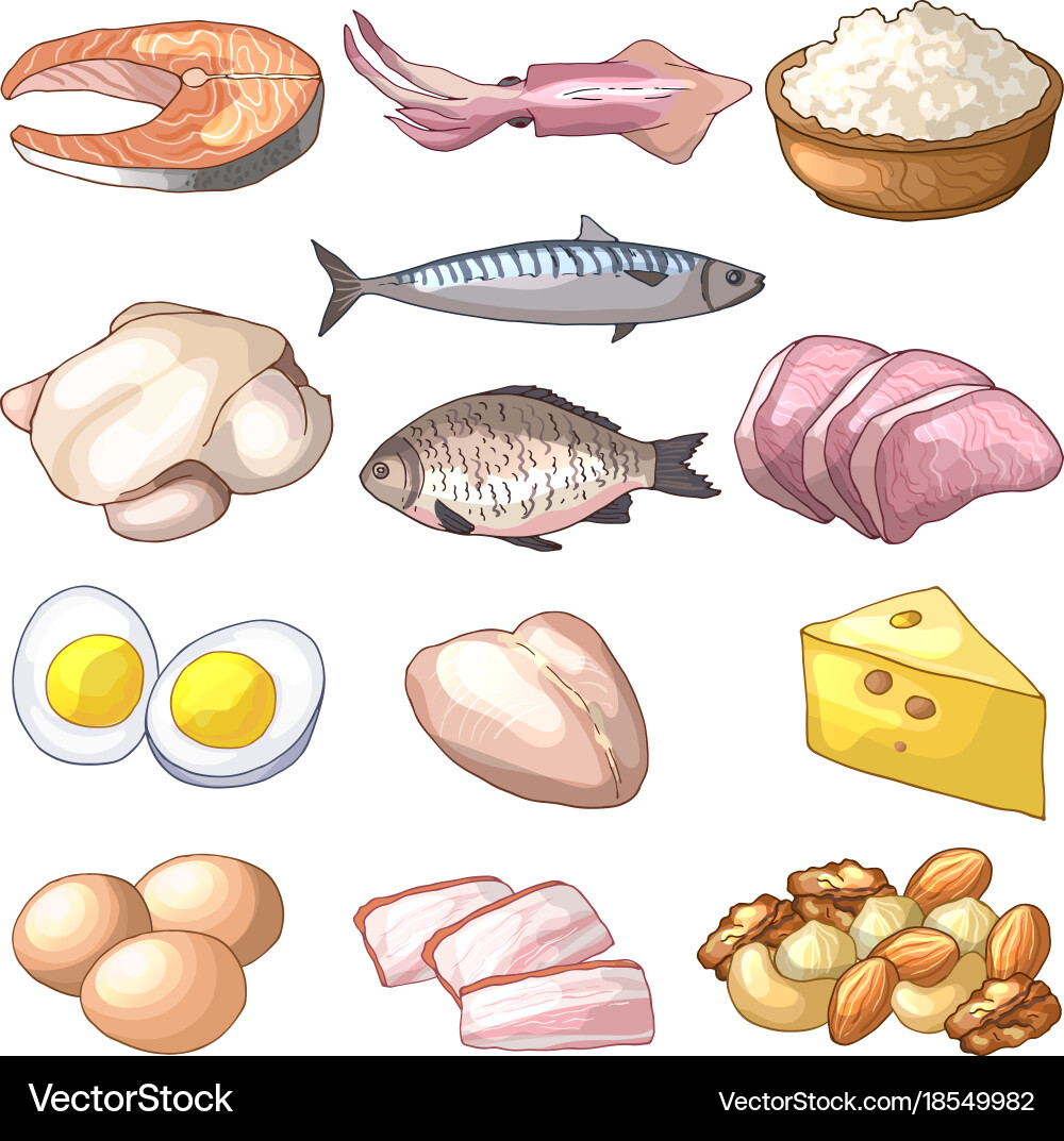 Useful products in cartoon style Royalty Free Vector Image