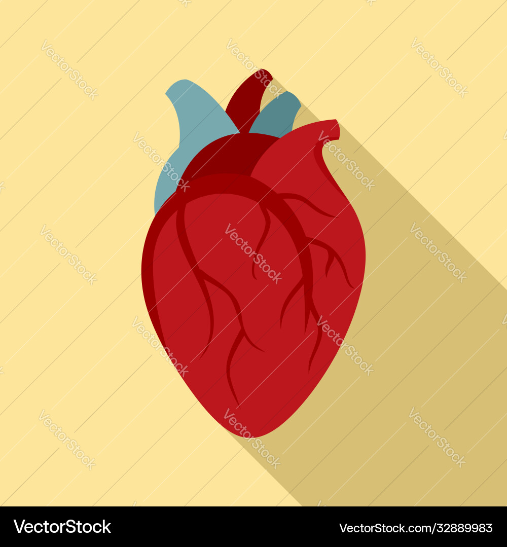 Biology human heart icon flat style Royalty Free Vector