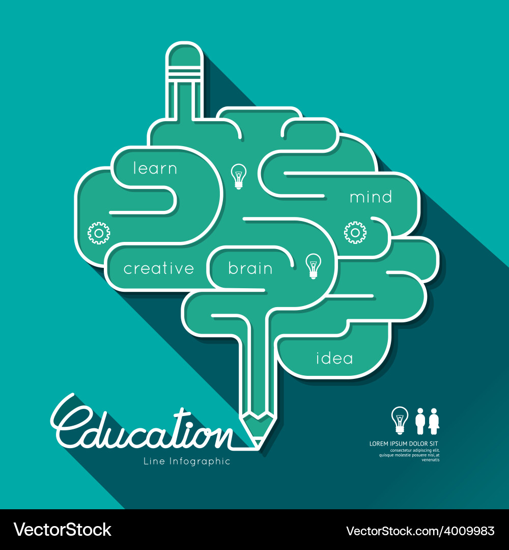 Brain Infographic - Education Concept Royalty Free Vector