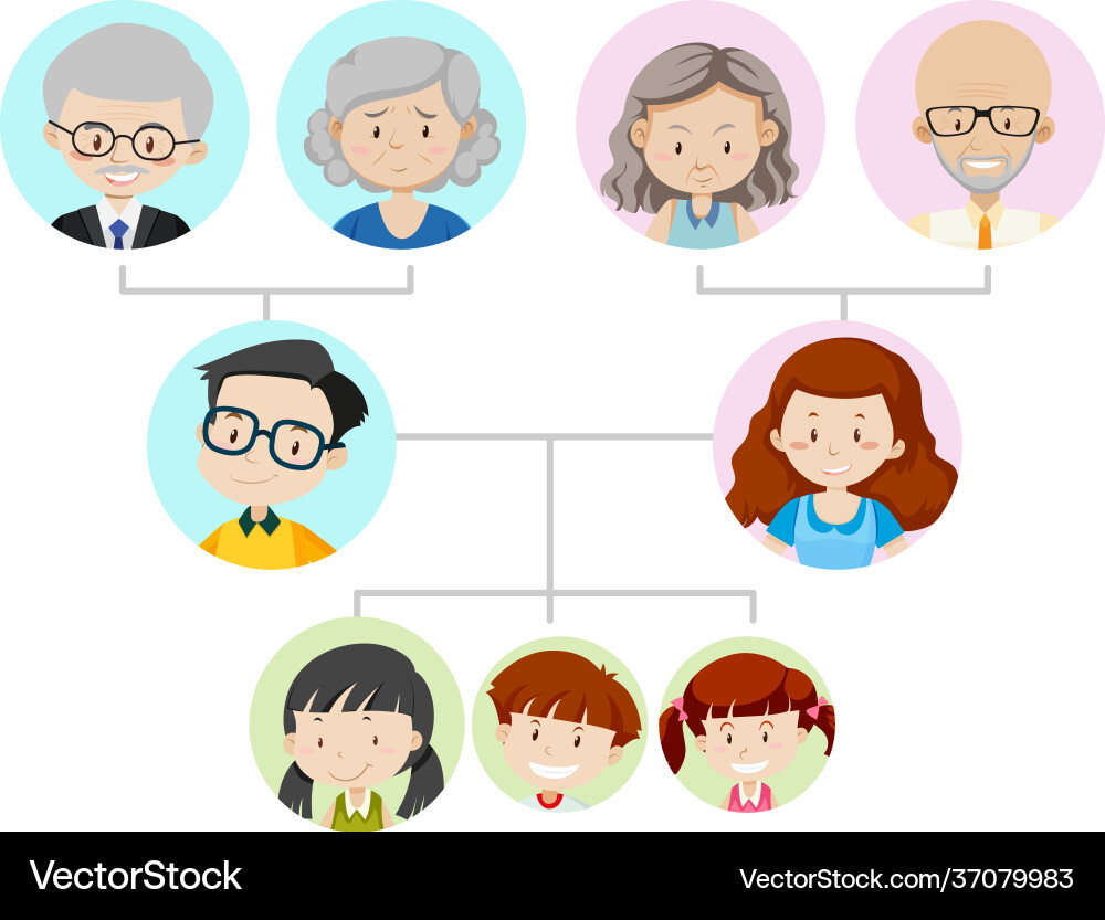 Diagram showing three generation family tree Vector Image
