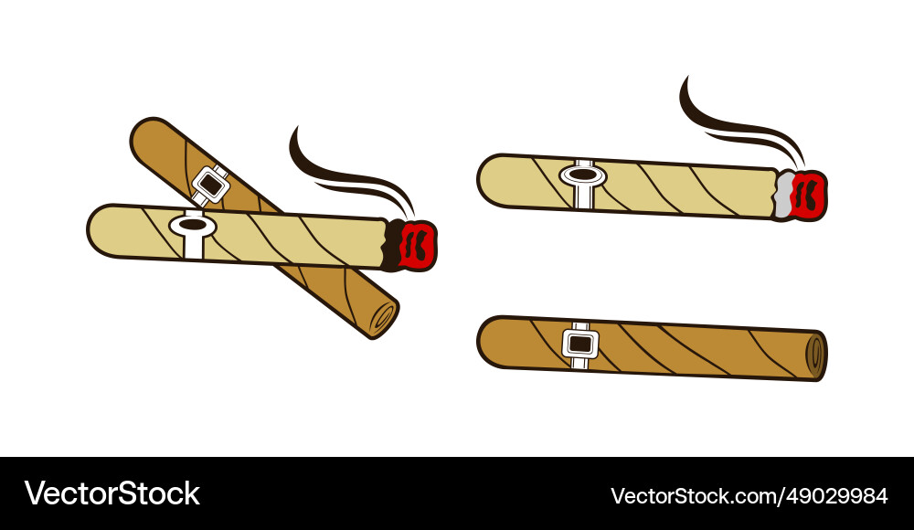 Elegant Cigar Motif Royalty Free Vector Image - VectorStock
