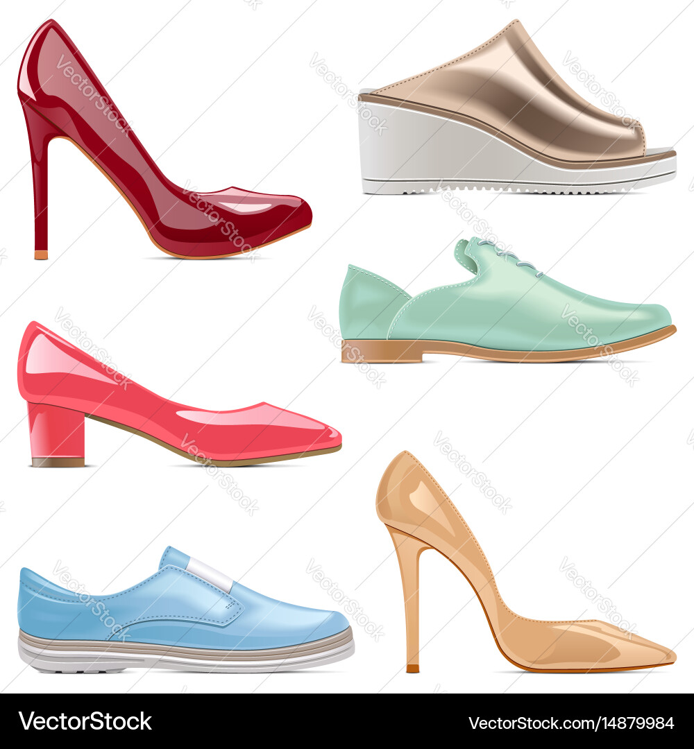 Fashion shoes Royalty Free Vector Image - VectorStock