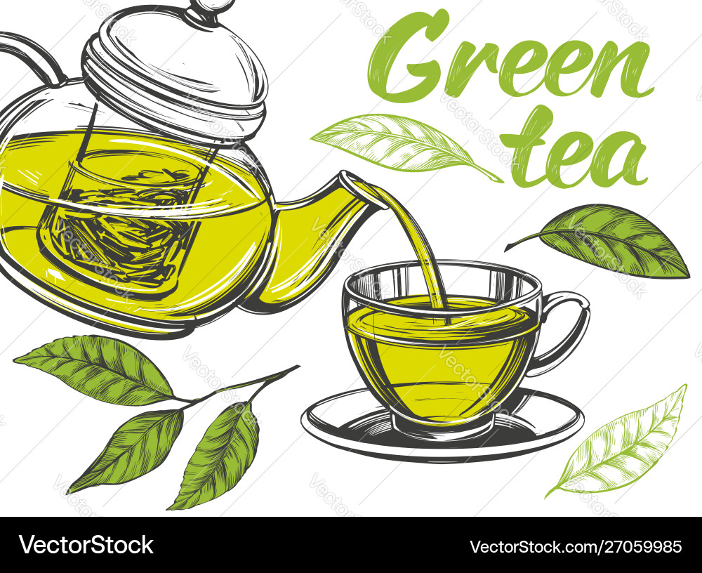 Green tea cup and teapot isolated on white Vector Image