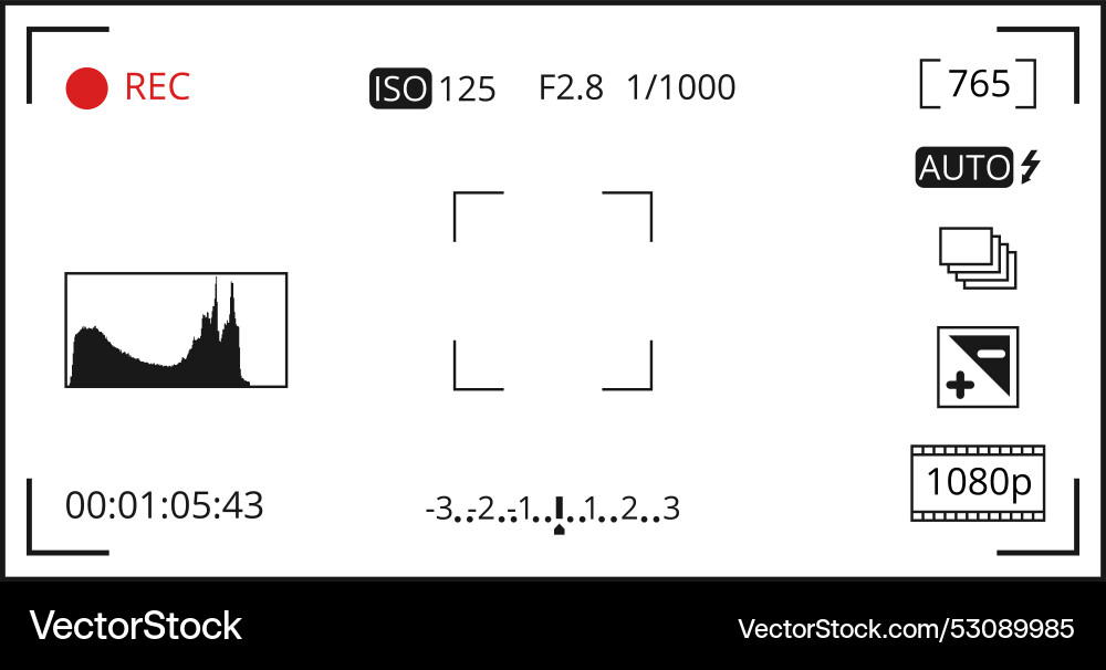 Professional photo camera app screen viewfinder Vector Image