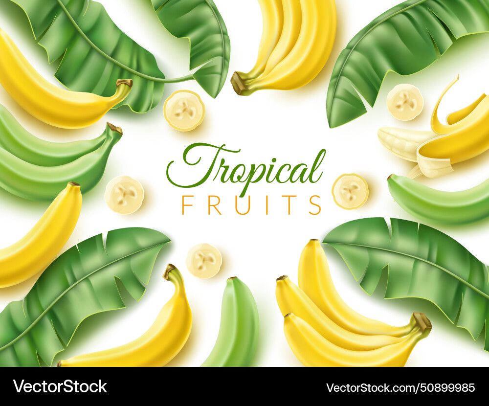 Realistic banana frame tropical fruit poster Vector Image