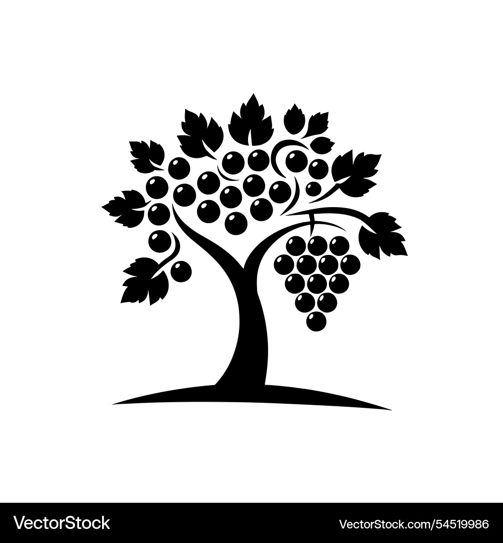Grapevine tree icon Royalty Free Vector Image - VectorStock