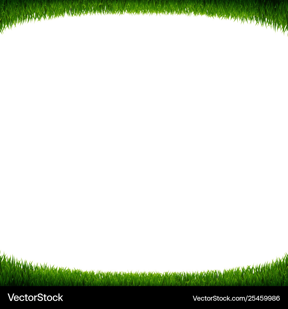 Green grass frame white background Royalty Free Vector Image