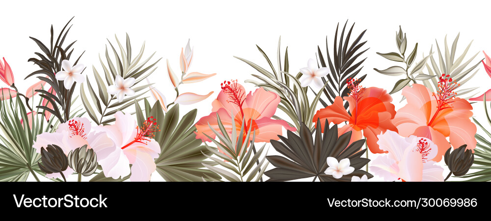 Hibiscus botanic seamless horizontal border Vector Image