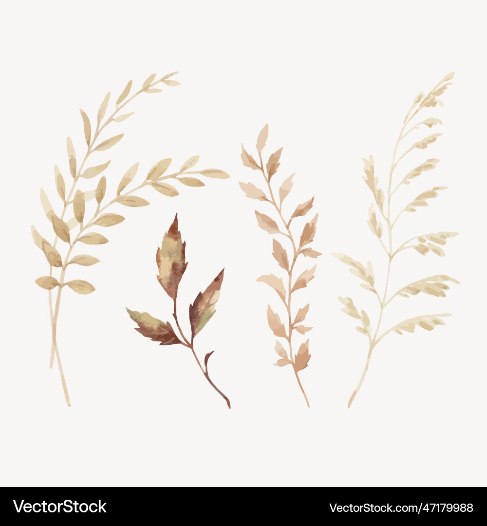Beautiful clip art stock Royalty Free Vector Image