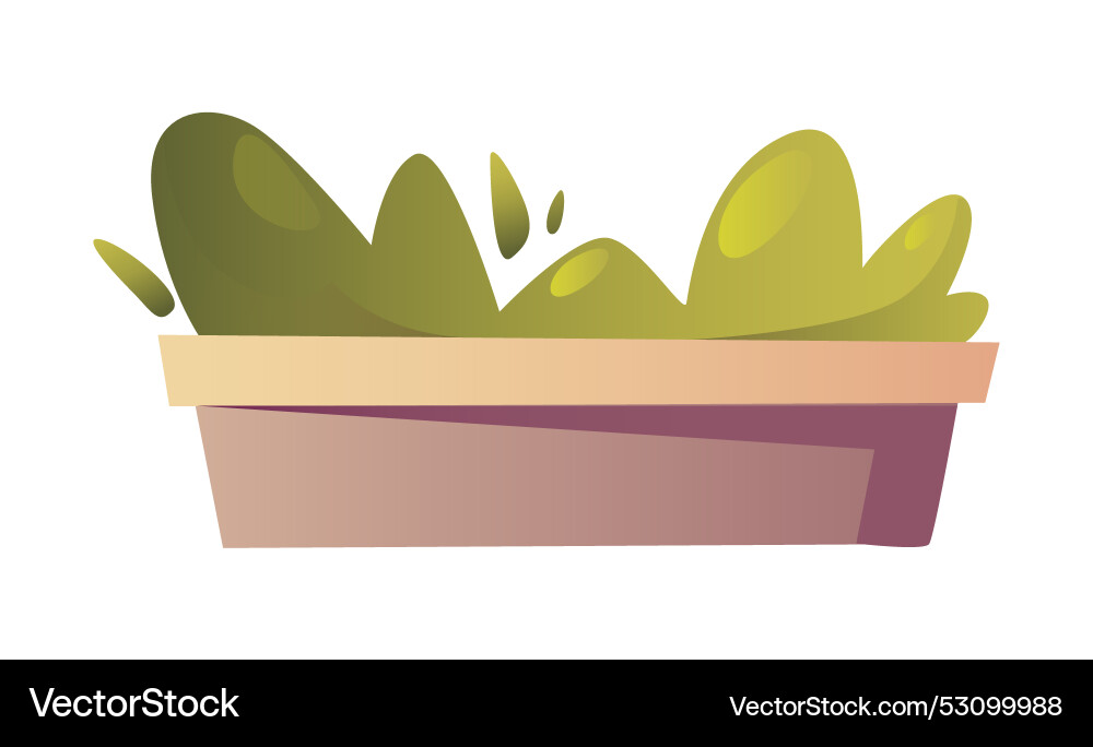 Green bush in brown rectangular planter flat Vector Image