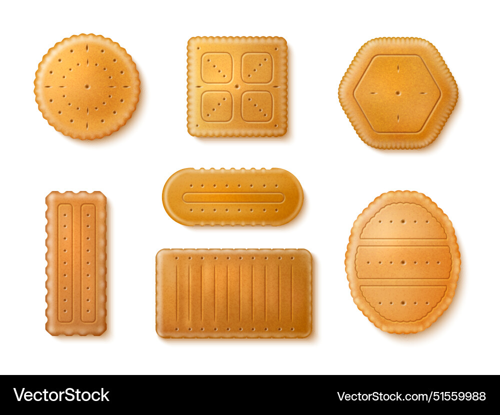 Realistic crackers isolated 3d sweet and salted Vector Image
