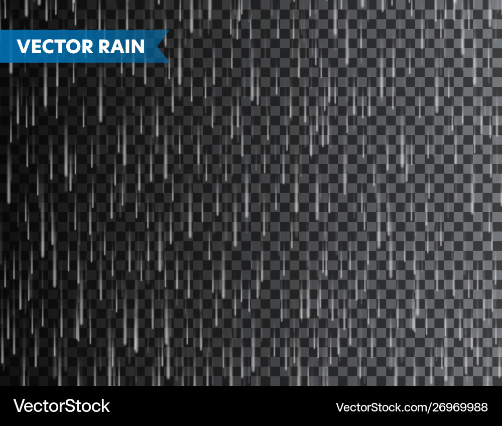 Realistic rain texture on transparent background Vector Image