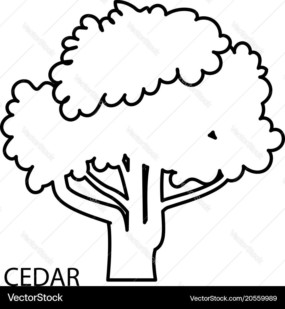 Cedar Tree Outline Icon Royalty Free Vector Image