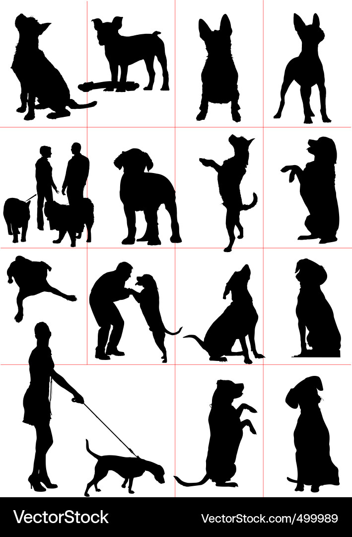 Dogs Training Vector Images (over 18,000)