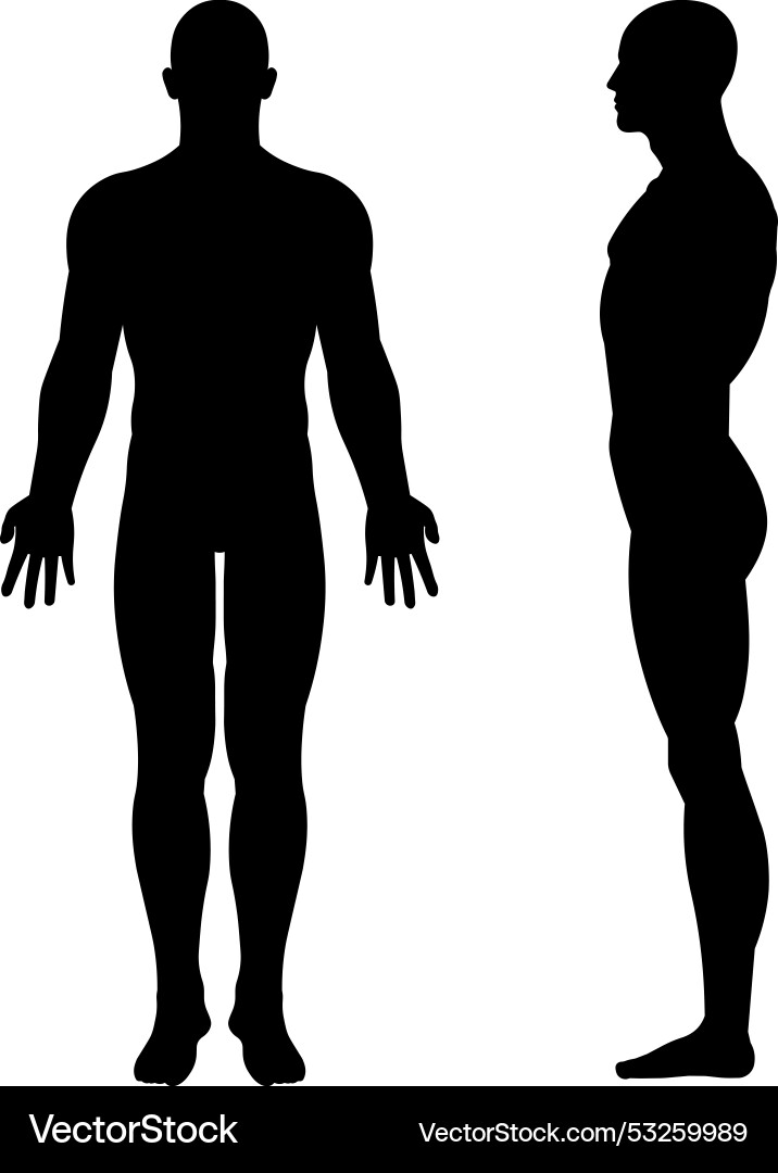 Front and side view of human silhouette Royalty Free Vector