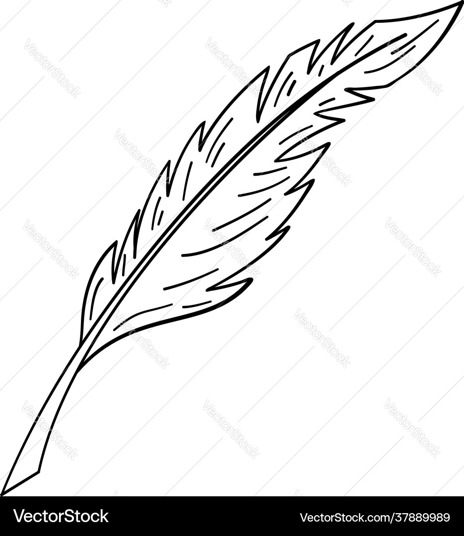 Writing feather icon Royalty Free Vector Image