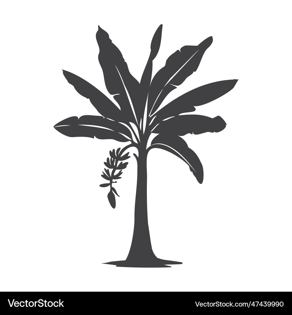 Banana tree silhouette icon Royalty Free Vector Image